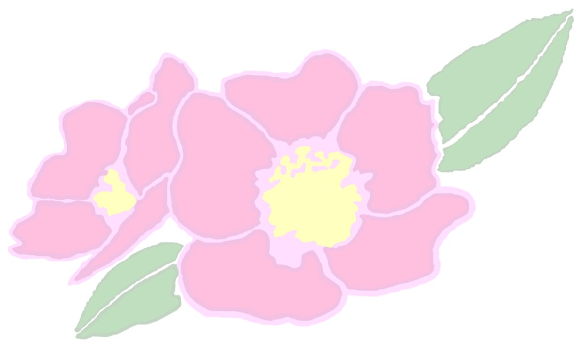 Blossom Ministries – You did not choose me, but I chose you and ...